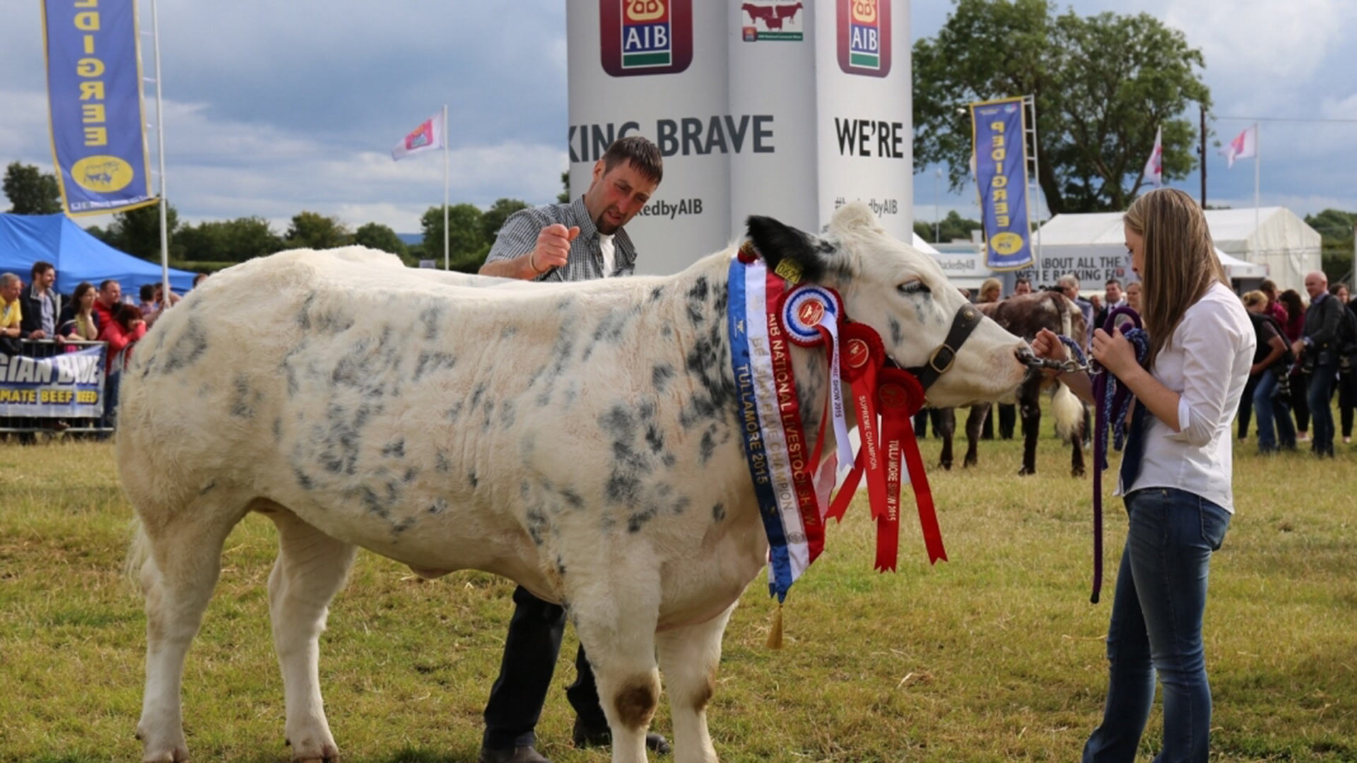 Tullamore Show | Hotels Near Tullamore Show | Abbeyleix Manor Hotel